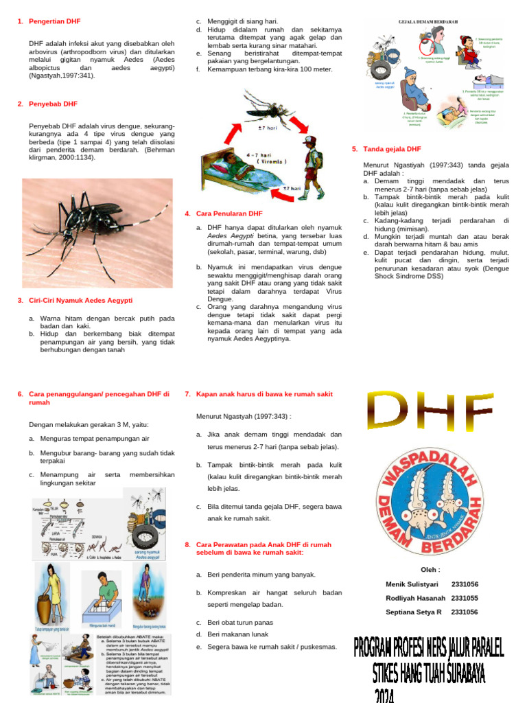 Leaflet DHF September | PDF