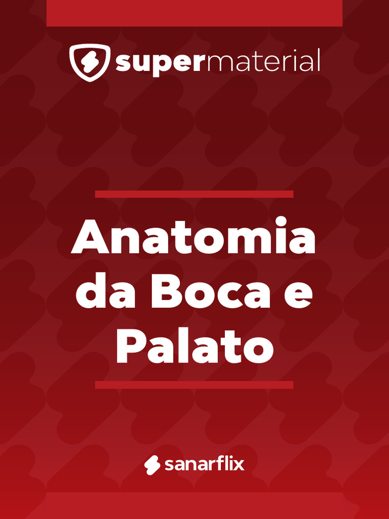 Anatomia Da Boca e Palato | PDF