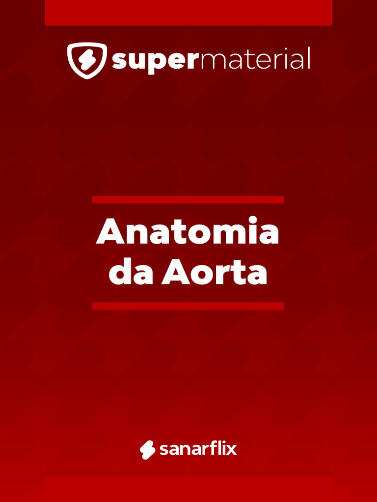 Anatomia Da Aorta | PDF