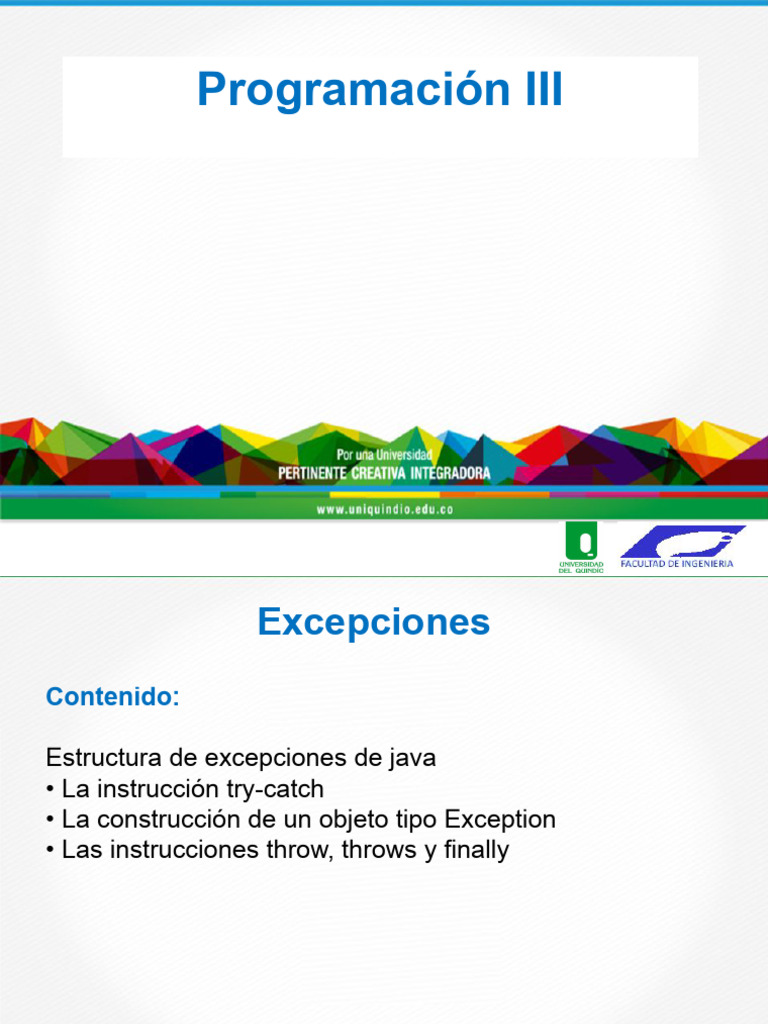 Excepciones | PDF