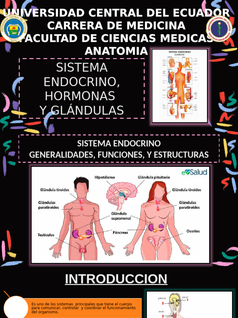 Sistemaendocrino Pdf Sistema Endocrino Hormona