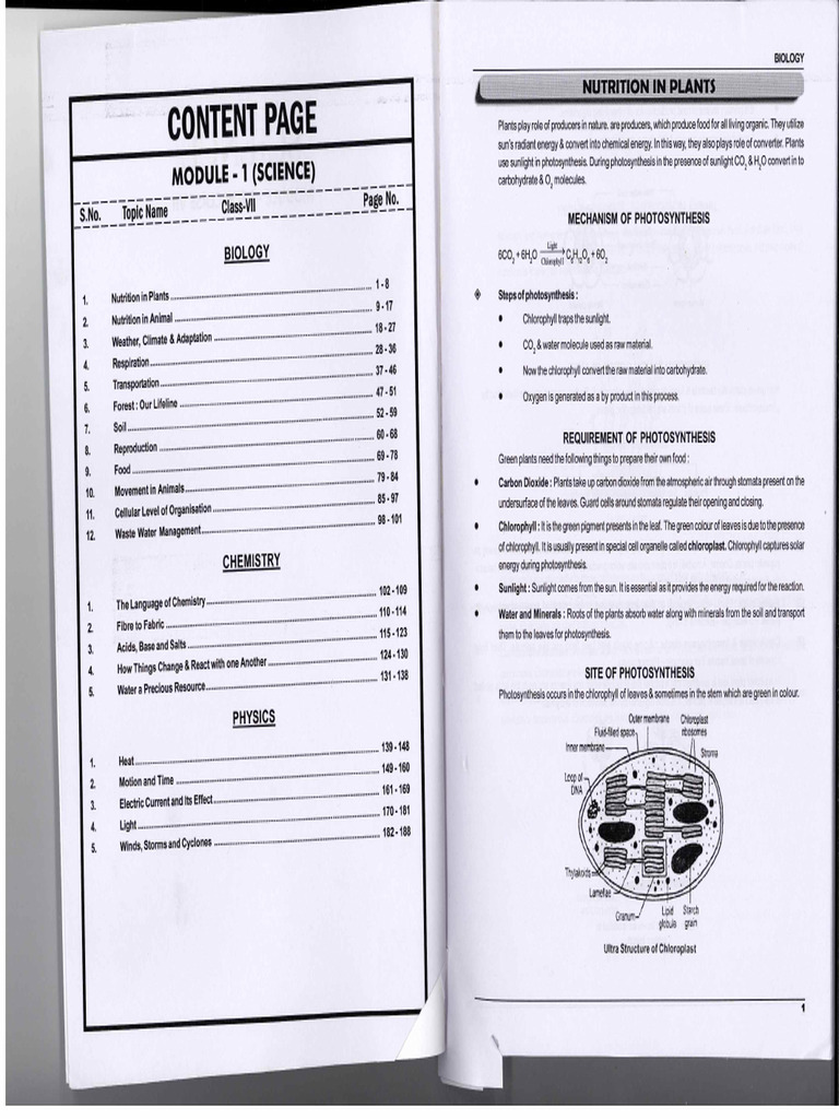 Grade-7 Nutrition in Plants | PDF