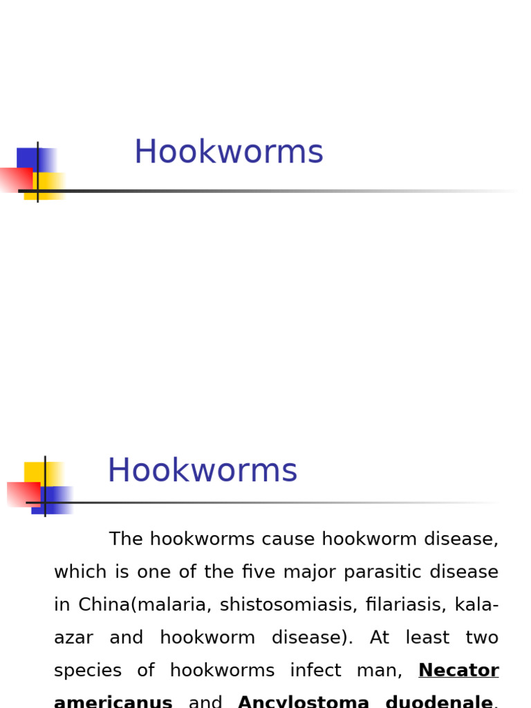 Hookworm | PDF