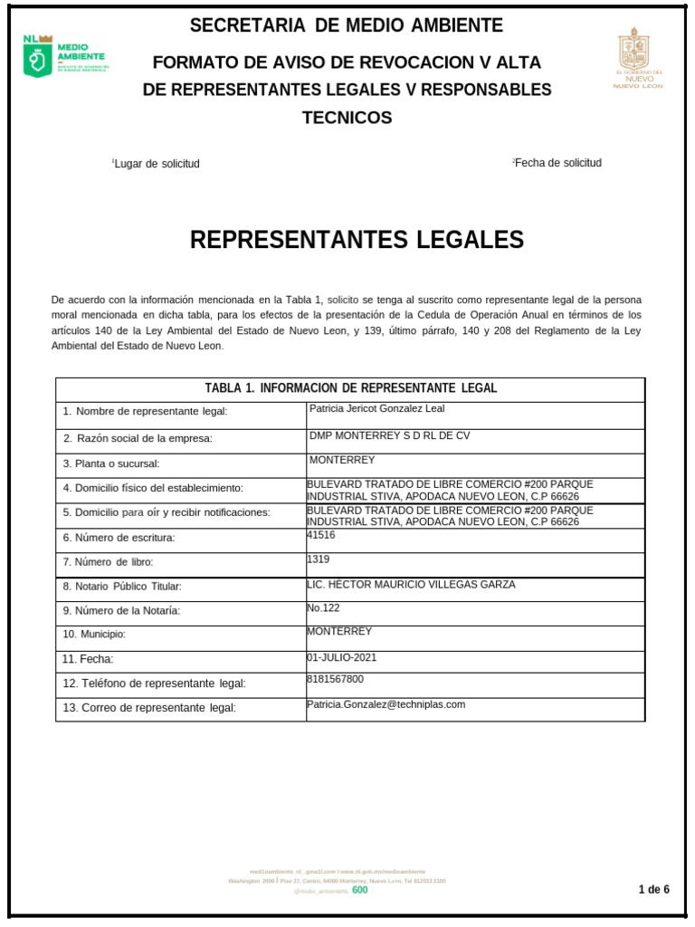 Formato - Representante Legal | PDF