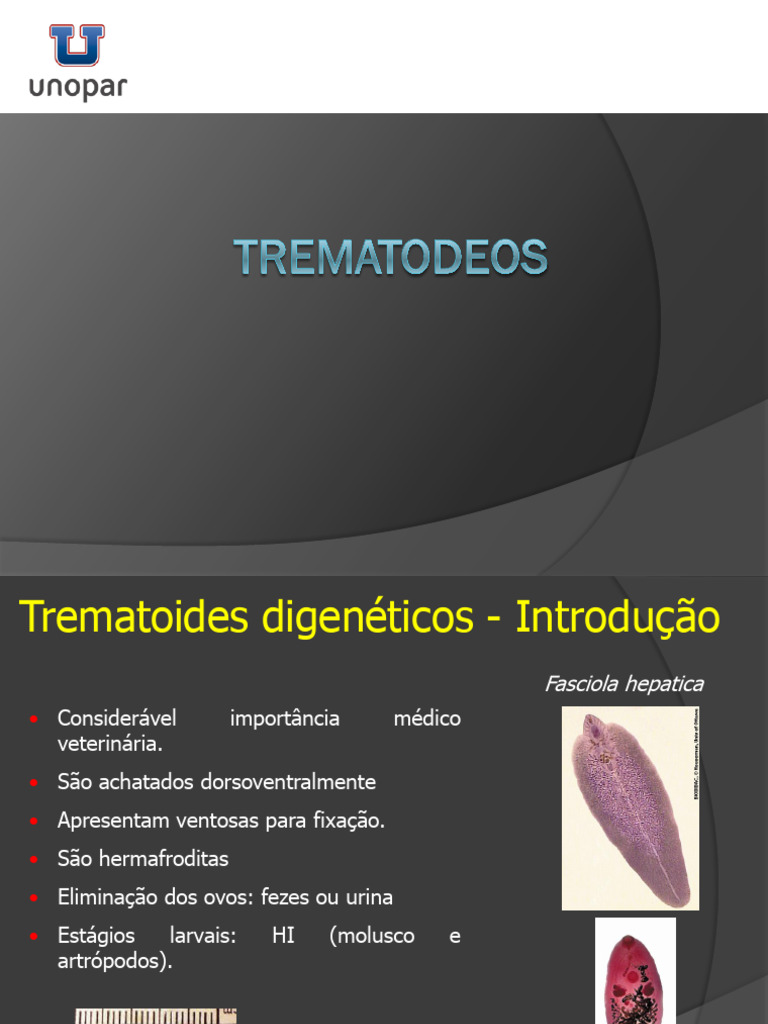 UE 1 - Classe Trematoda - Conteúdo 1, 2 e 3 | PDF