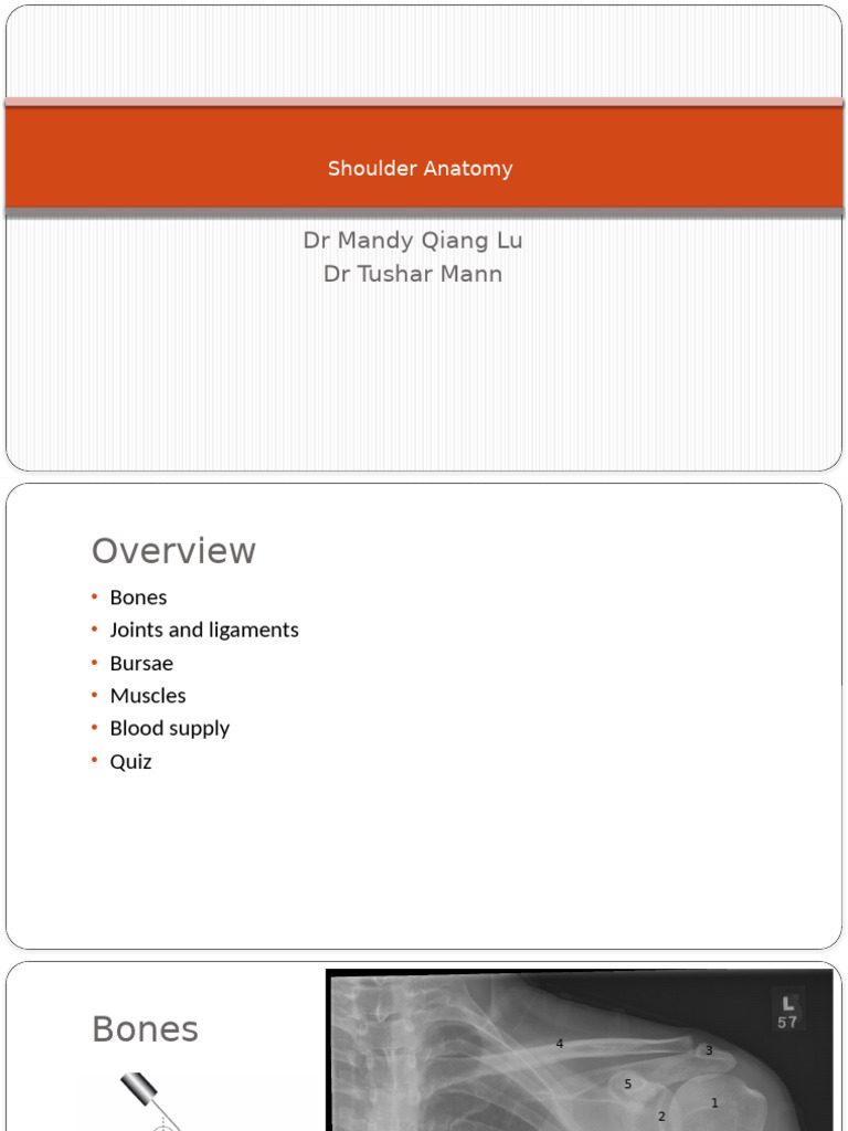 Shoulder Anatomy 11.01.2022 | PDF | Shoulder | Joints