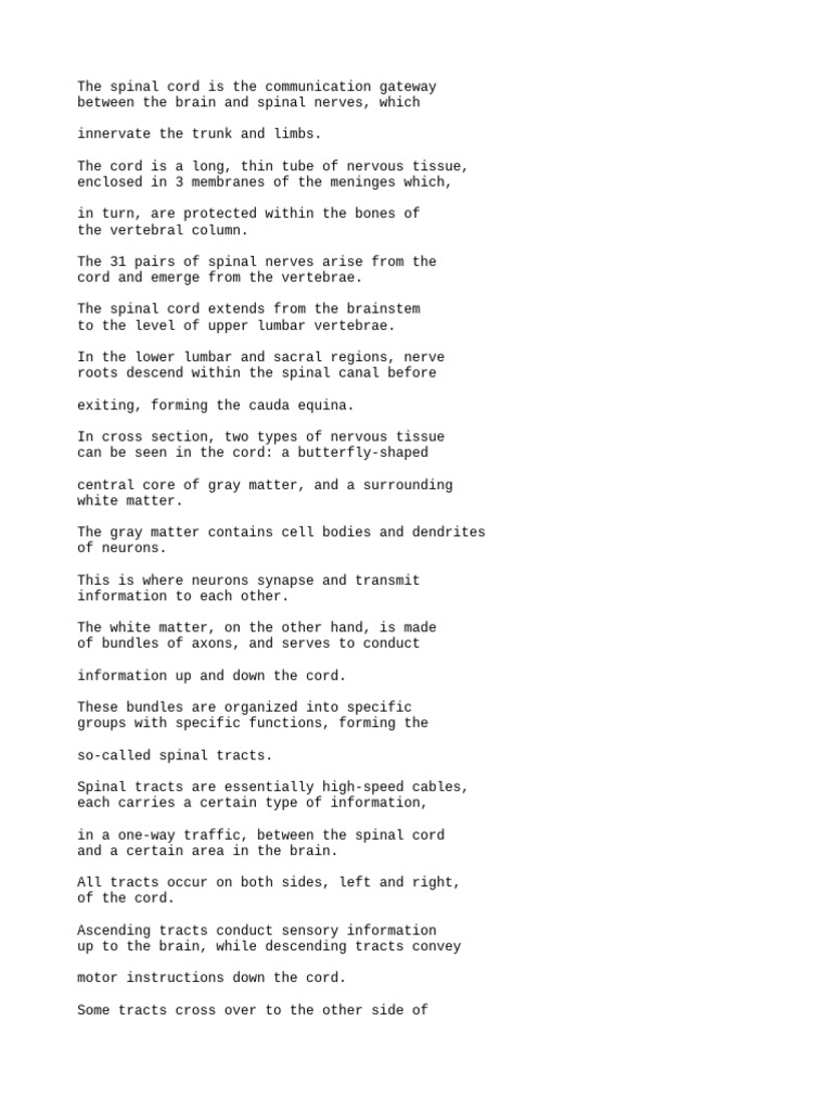 (English) Spinal Cord - Anatomy, Spinal Tracts & Pathways, Somatic ...