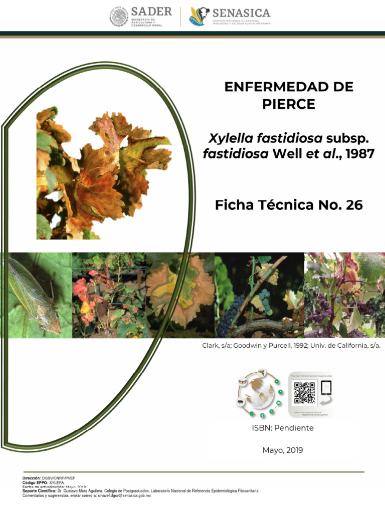 6.ficha T Cnica Enfermedad de Pierce | PDF