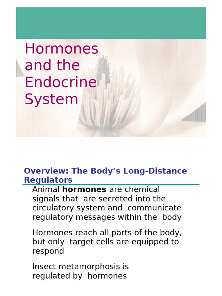 45 - Hormones and The Endocrine System | PDF