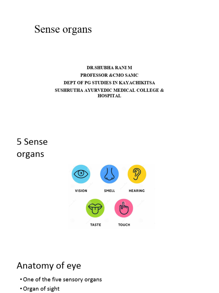 Sense Organ | PDF