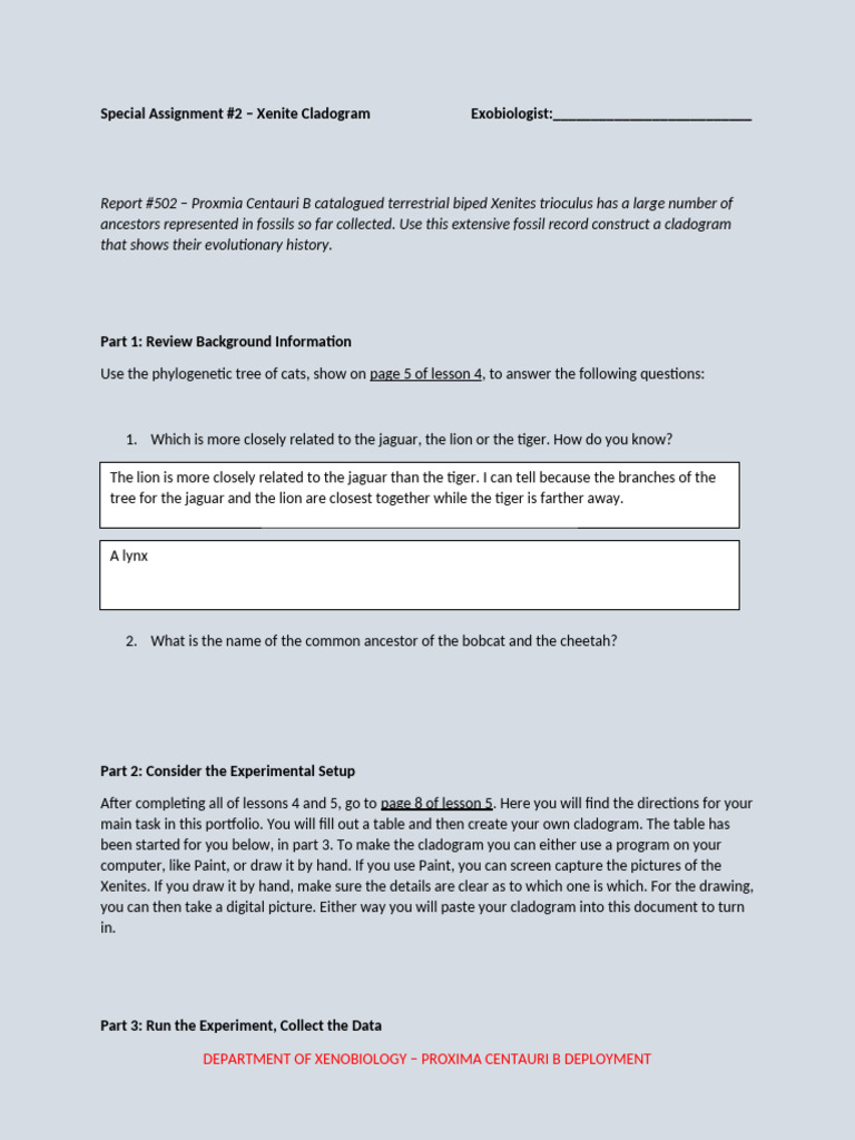 Biob U8 Portfolio | PDF