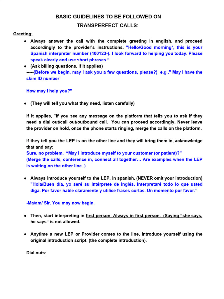 Transperfect Basic Guidelines Grupo Levanter | PDF