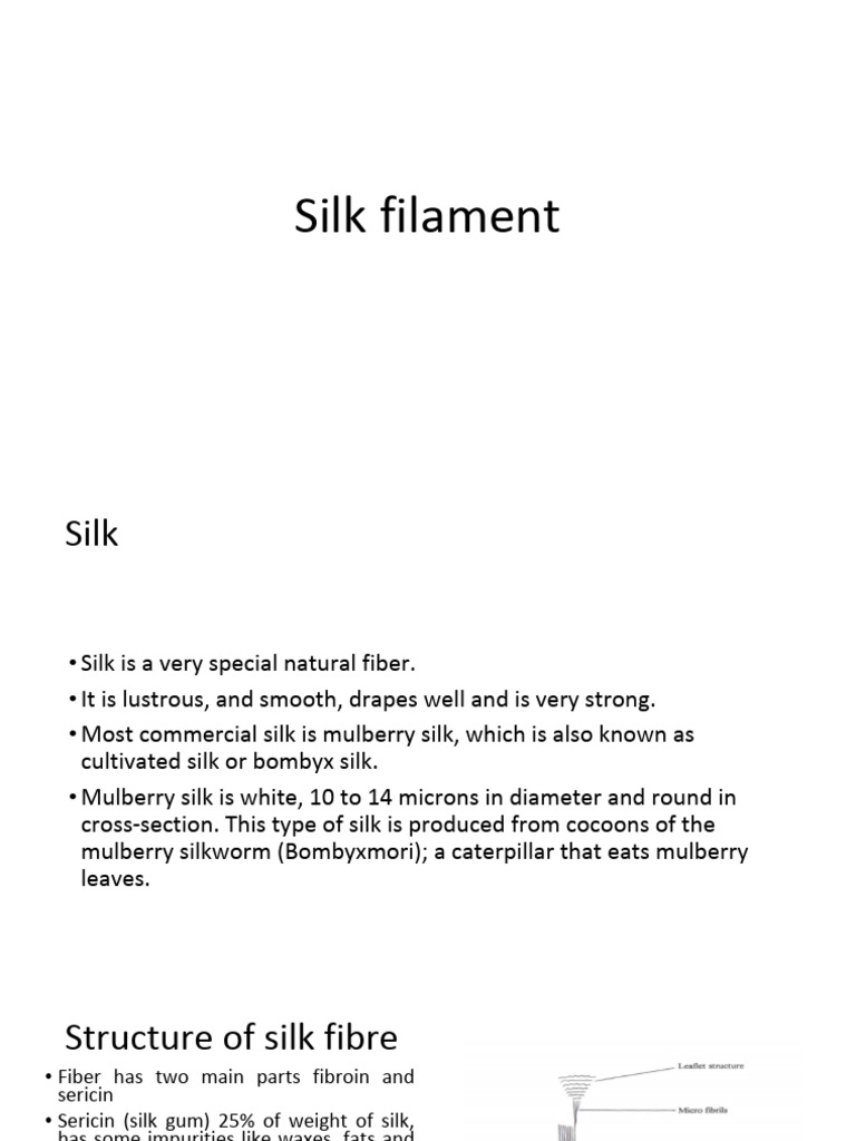 Silk | PDF