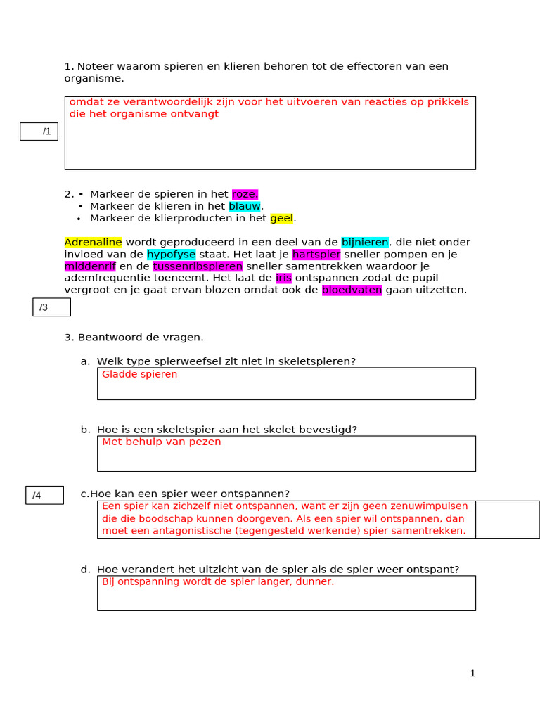 Taak Biologie Spieren en Klieren | PDF