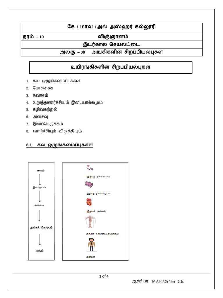 TM - Grade 10 - Science Worksheet 1 | PDF | Science & Mathematics