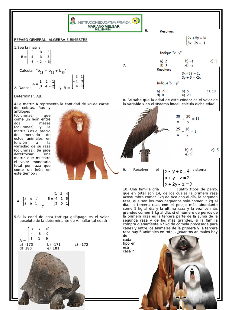 REPASO GENERAL -1ER PARTE | PDF