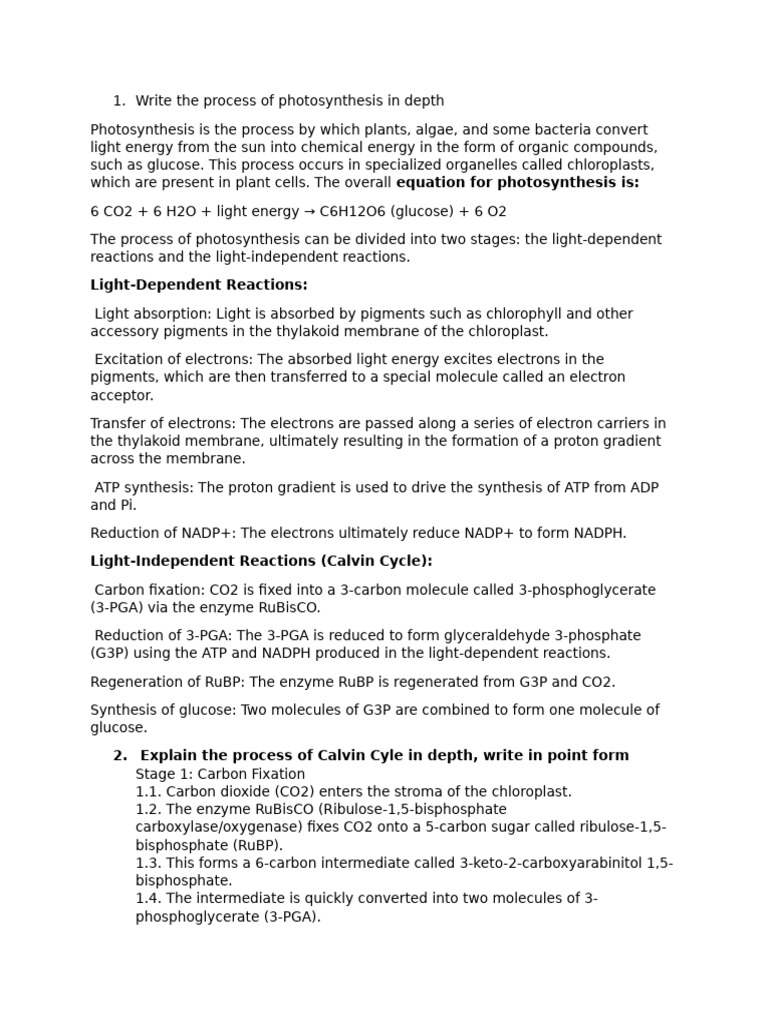 Write The Process of Photosynthesis in Depth | PDF