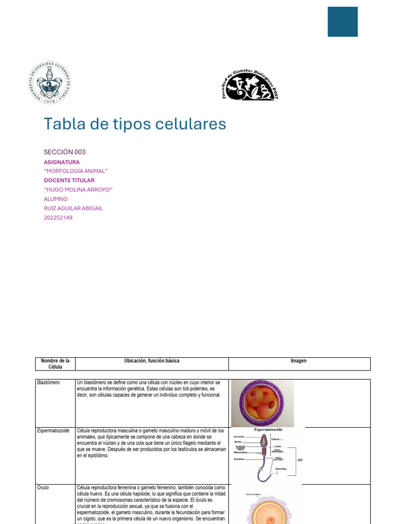 Tabla de Tipos Celulares | PDF
