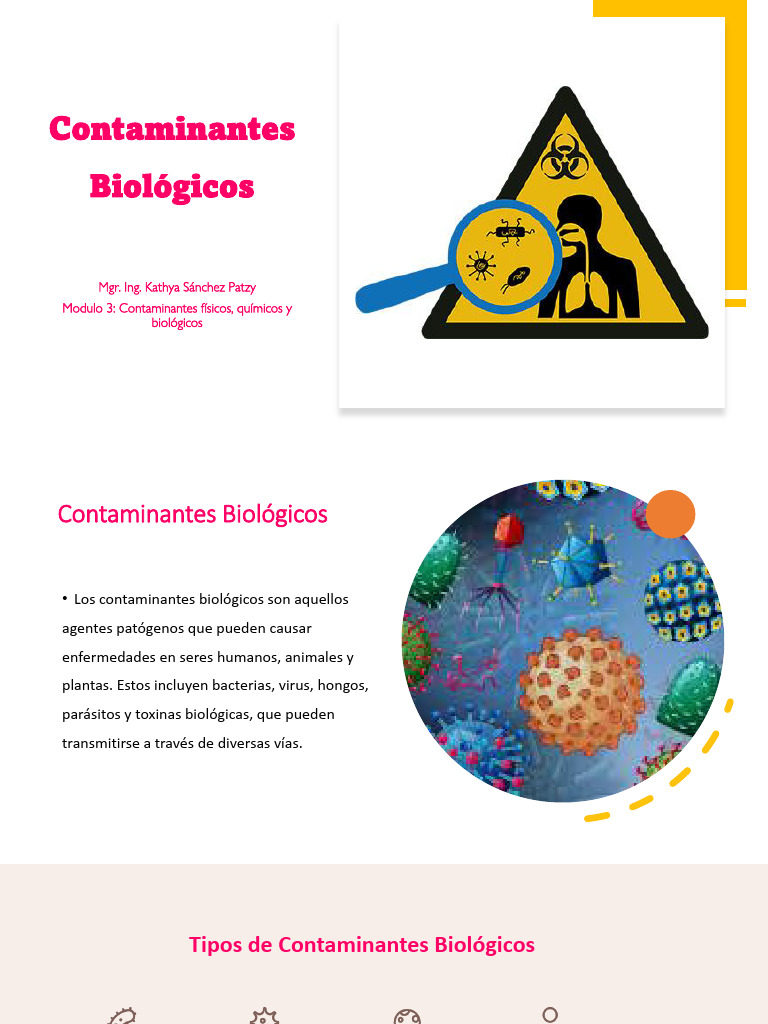 Unidad 4 Contaminantes-Biologicos | PDF