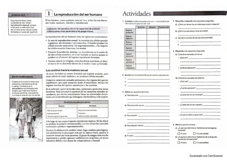 SALUD. Actividades - 4 | PDF