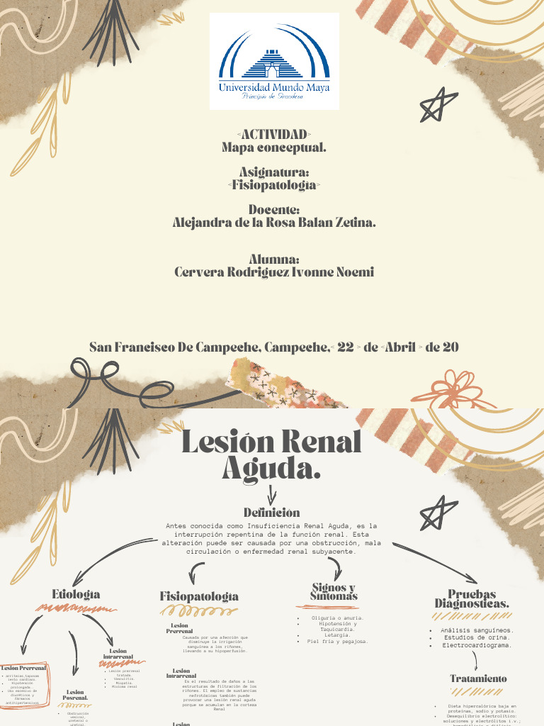 Lesión Renaal | PDF