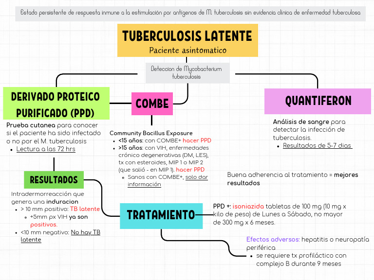 Mapa Conceptual Esquema Doodle Sencillo Multicolor | PDF | Tuberculosis | Microbiología
