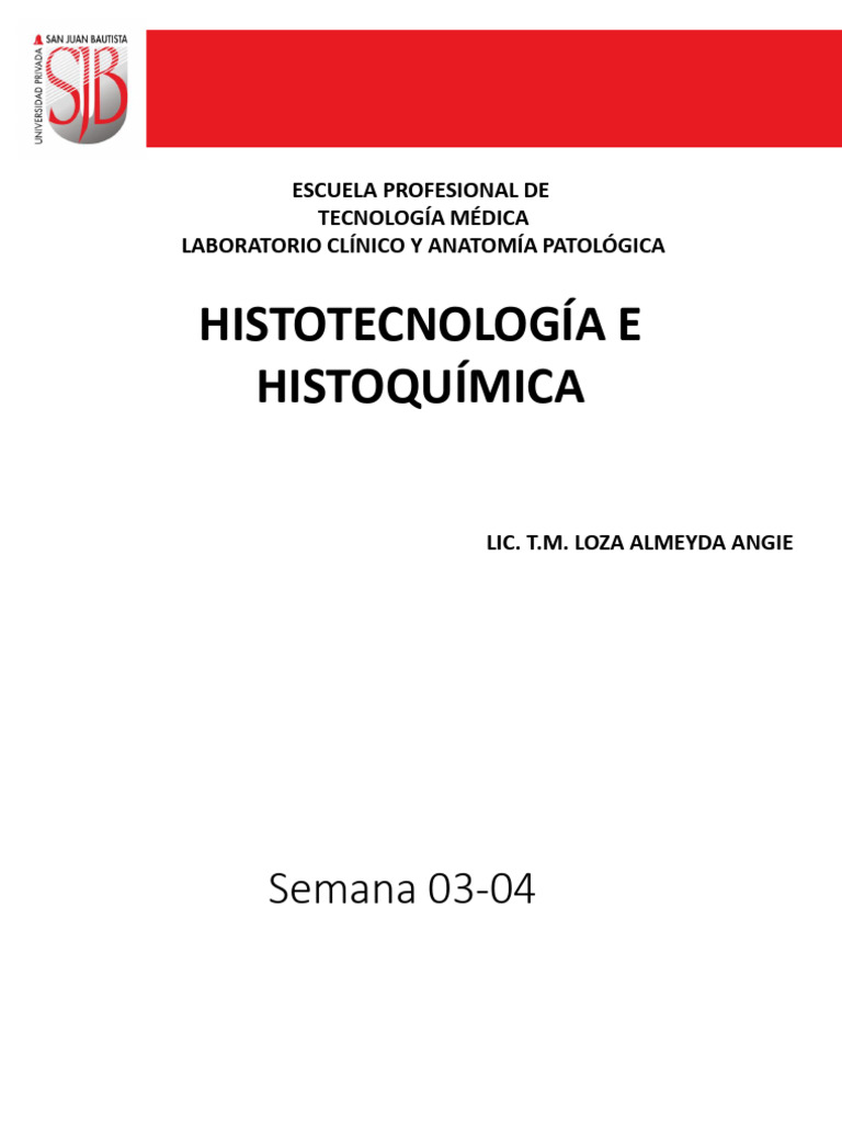 Histo C3 | PDF