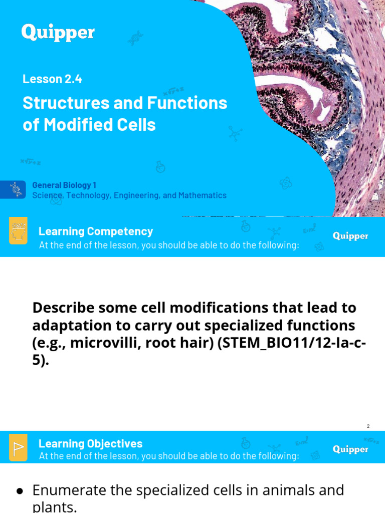 7 - Structures and Functions of Modified Cells | PDF