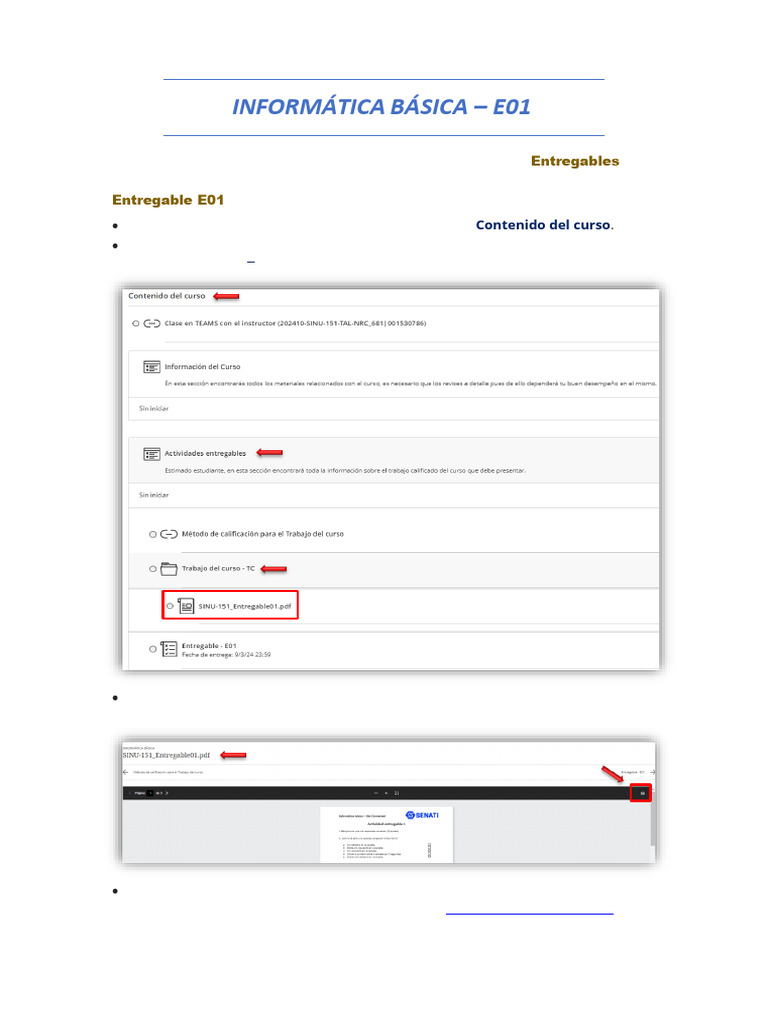 Guía para Entregable E01 en Blackboard | PDF | Informática