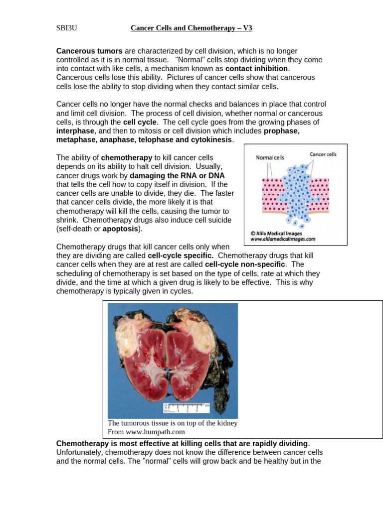 02 Cancer Reading v3 | PDF
