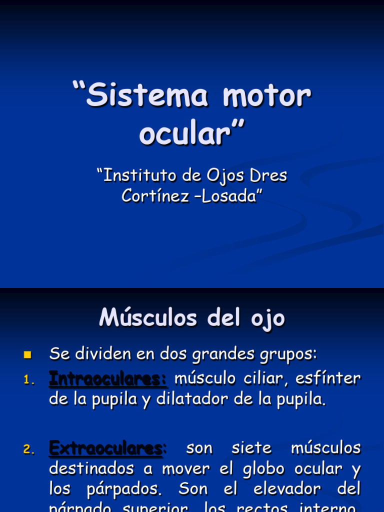 Sistema Motor Ocular | PDF