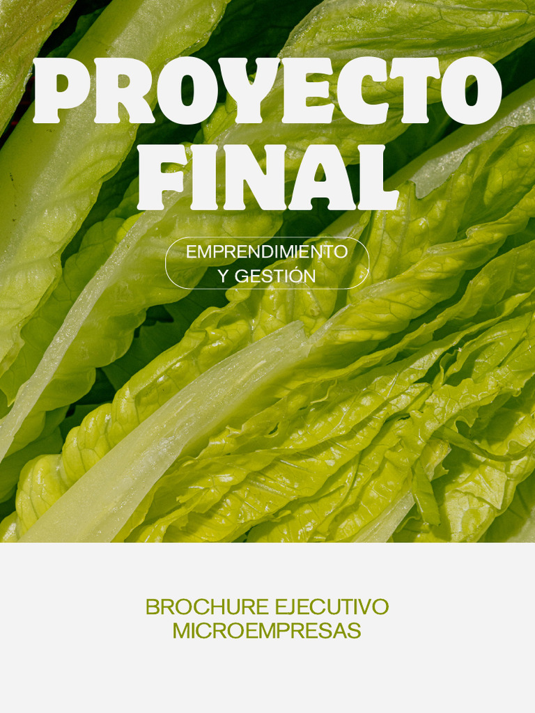 Proyecto Final | PDF