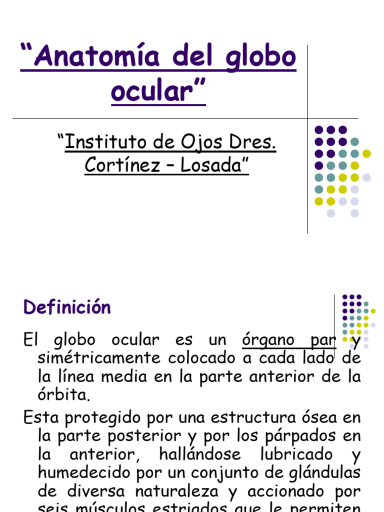 Anatomía Del Globo Ocular | PDF