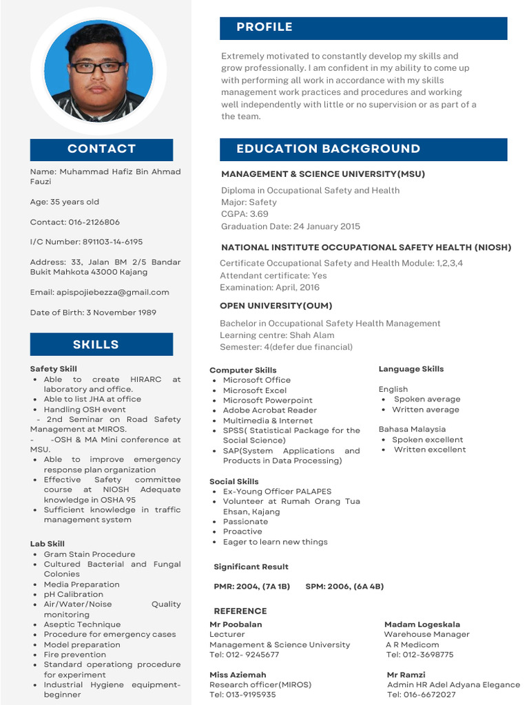 resume hafiz | PDF
