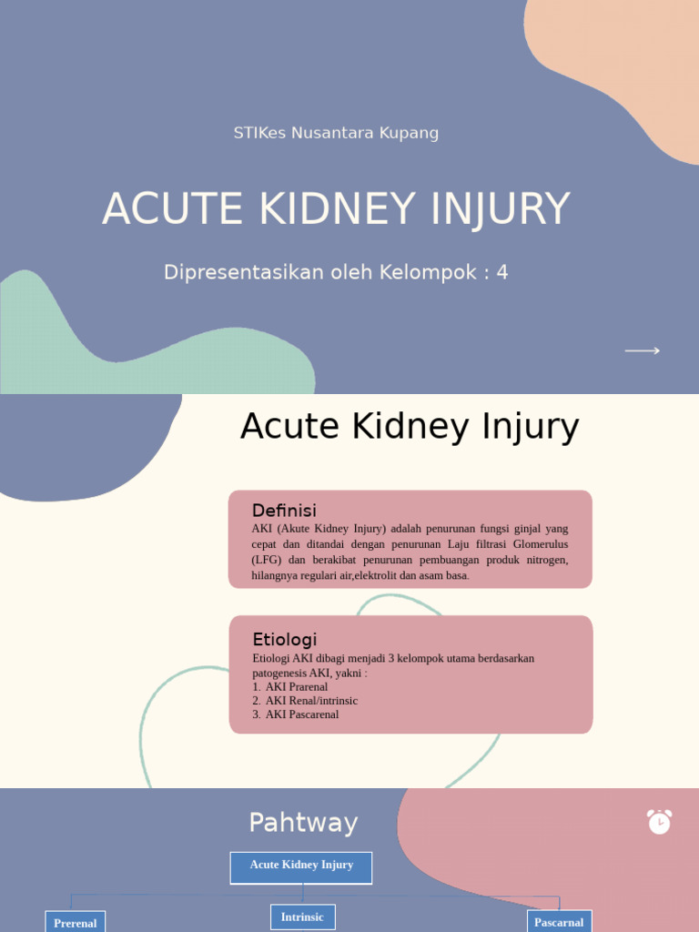 Aki (Acute Kidney Injury) Kel 4 | PDF