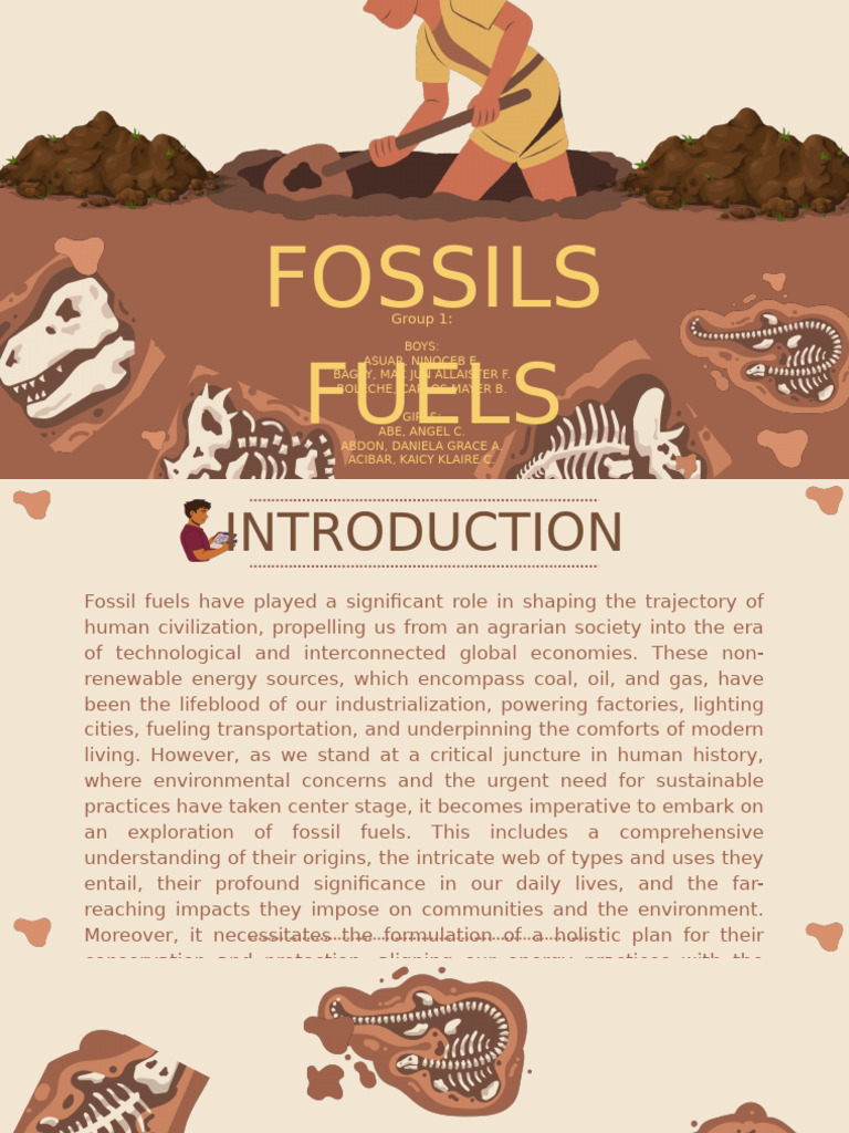 Fossil Fuels | PDF