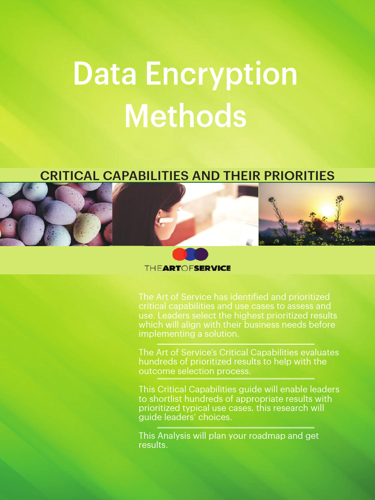 Data_Encryption_Methods_1689813482 | PDF