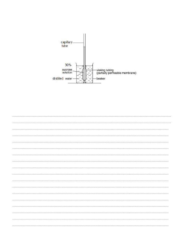 Osmometer 2 | PDF