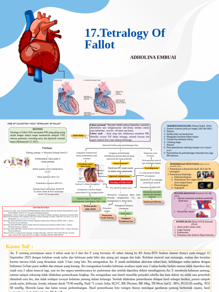 ToF PPT-WOC Kasus | PDF