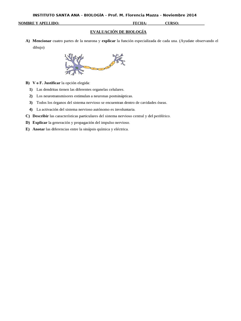 EVal 3 - Sist Nervioso 3º ISA | PDF