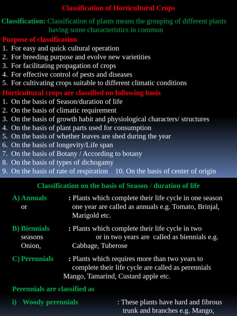 Horticultural Crop Classifications | PDF | Fruit | Edible Fruits