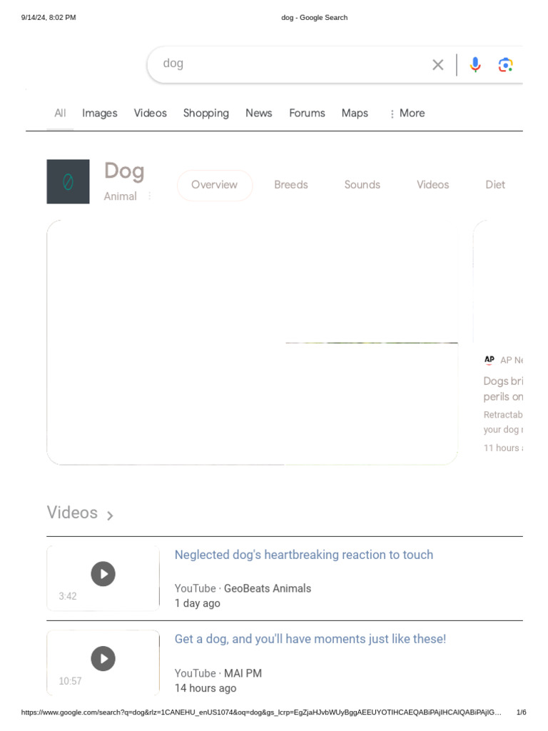 Dog - Google Search | PDF