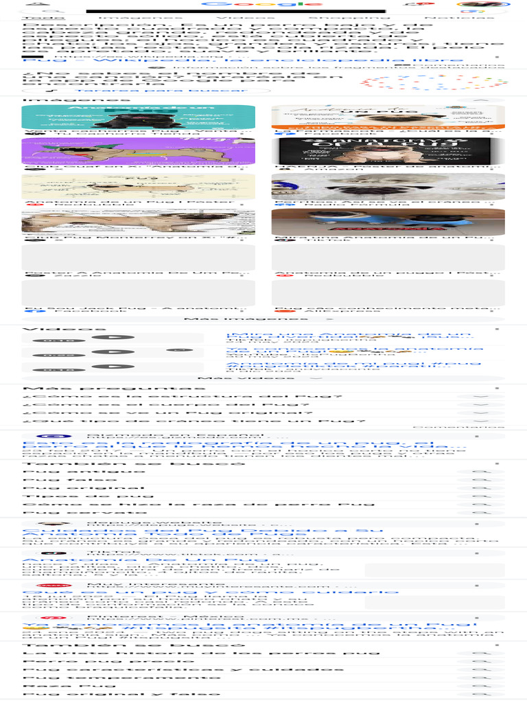 Anatomia de Un Pug - Buscar Con Google | PDF | Perros como mascotas ...