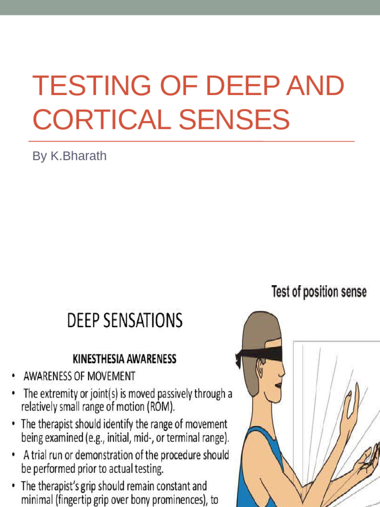 Cortical Sensation Testing Guide | PDF