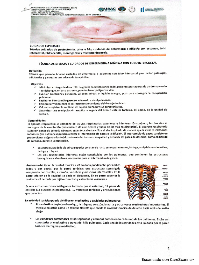 Técnica de Asistencia y Cuidados de Enfermería de Niños Con Tubo ...