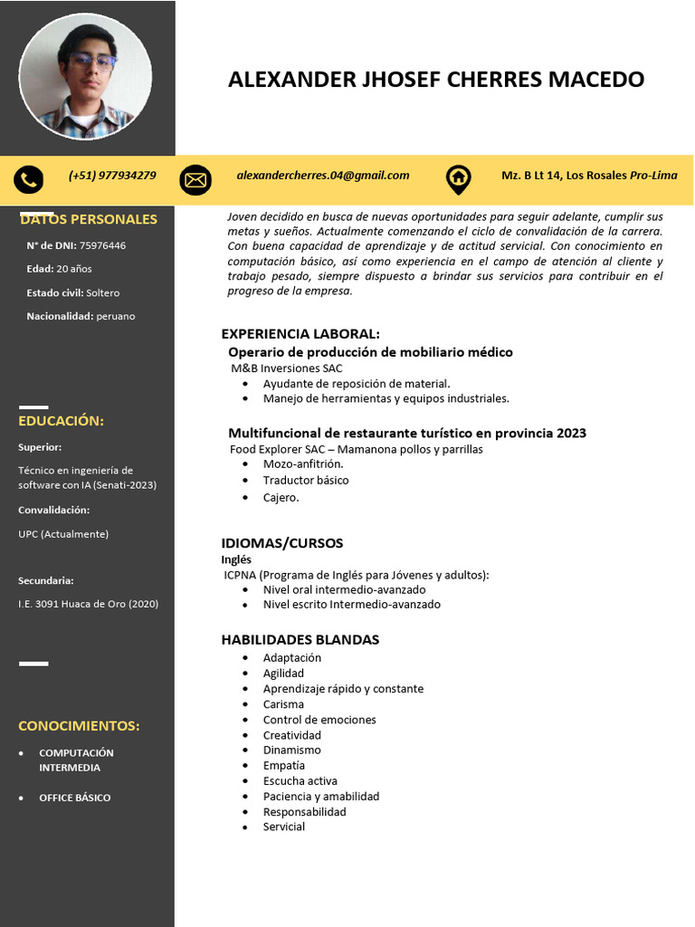 CV-Alexander Jhosef Cherres Macedo | PDF