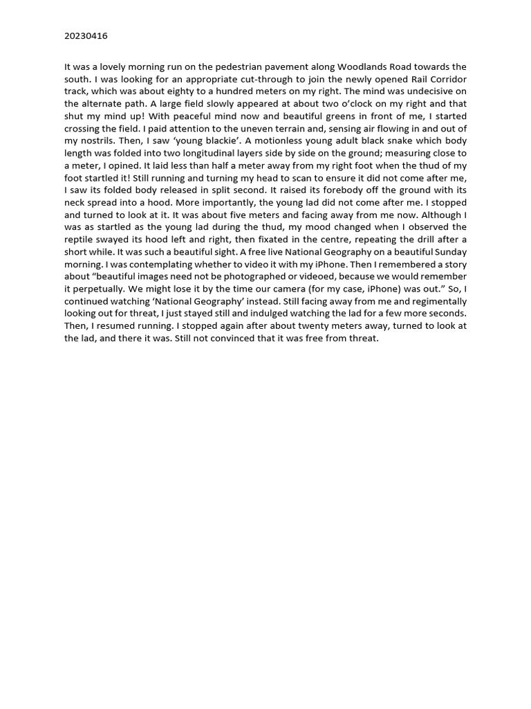 Happy Encounter With A Cobra | PDF