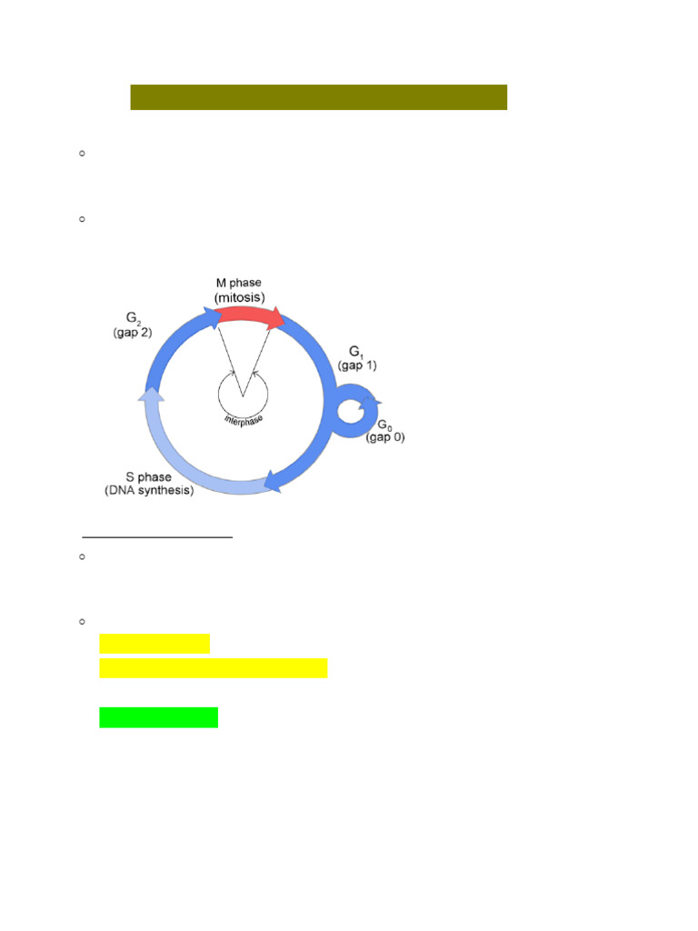 Cell Cycle Pdf Meiosis Mitosis