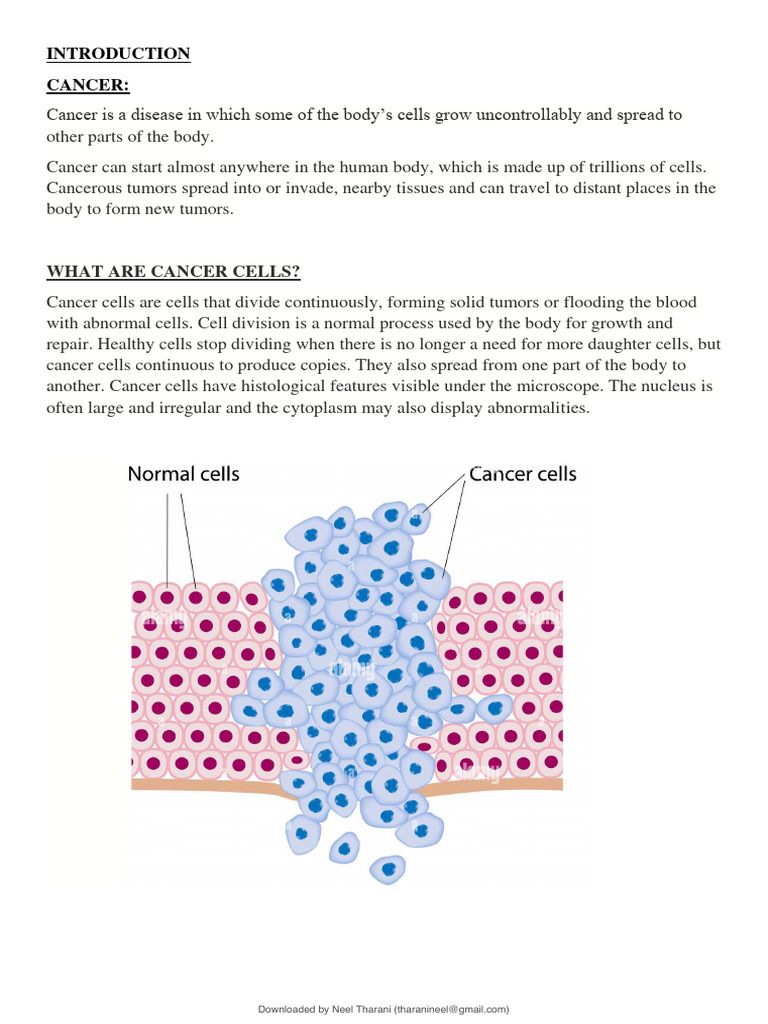 Biology Project - Cancer | PDF
