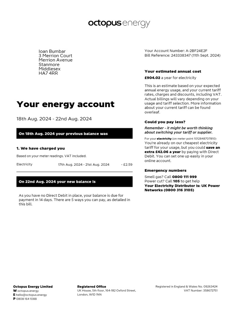 Octopus Energy Statement 2024 08 22 | PDF | Payments | Finance & Money ...